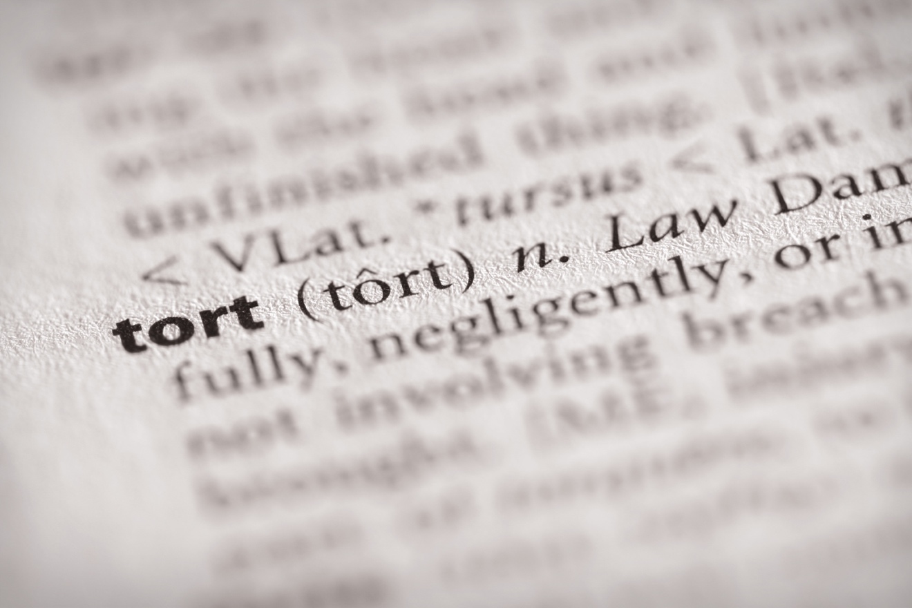 Tort Law in Canada Explained (With Examples) — JuriGo.ca
